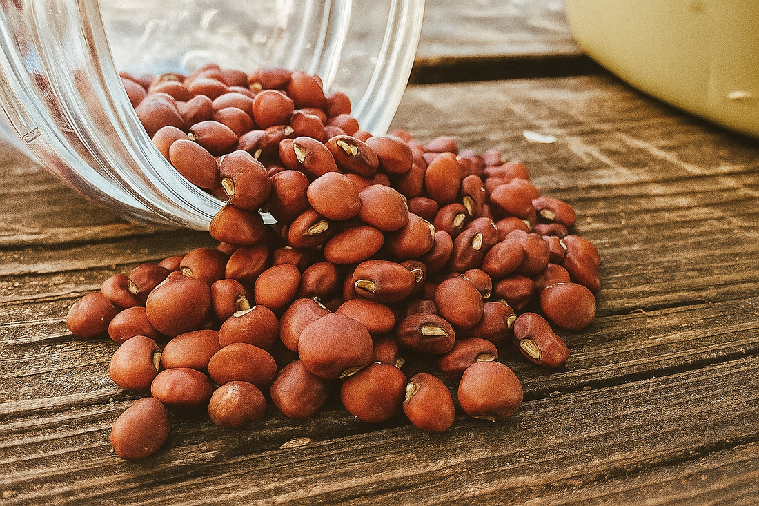 Cow Pea Red – Organic Grocer